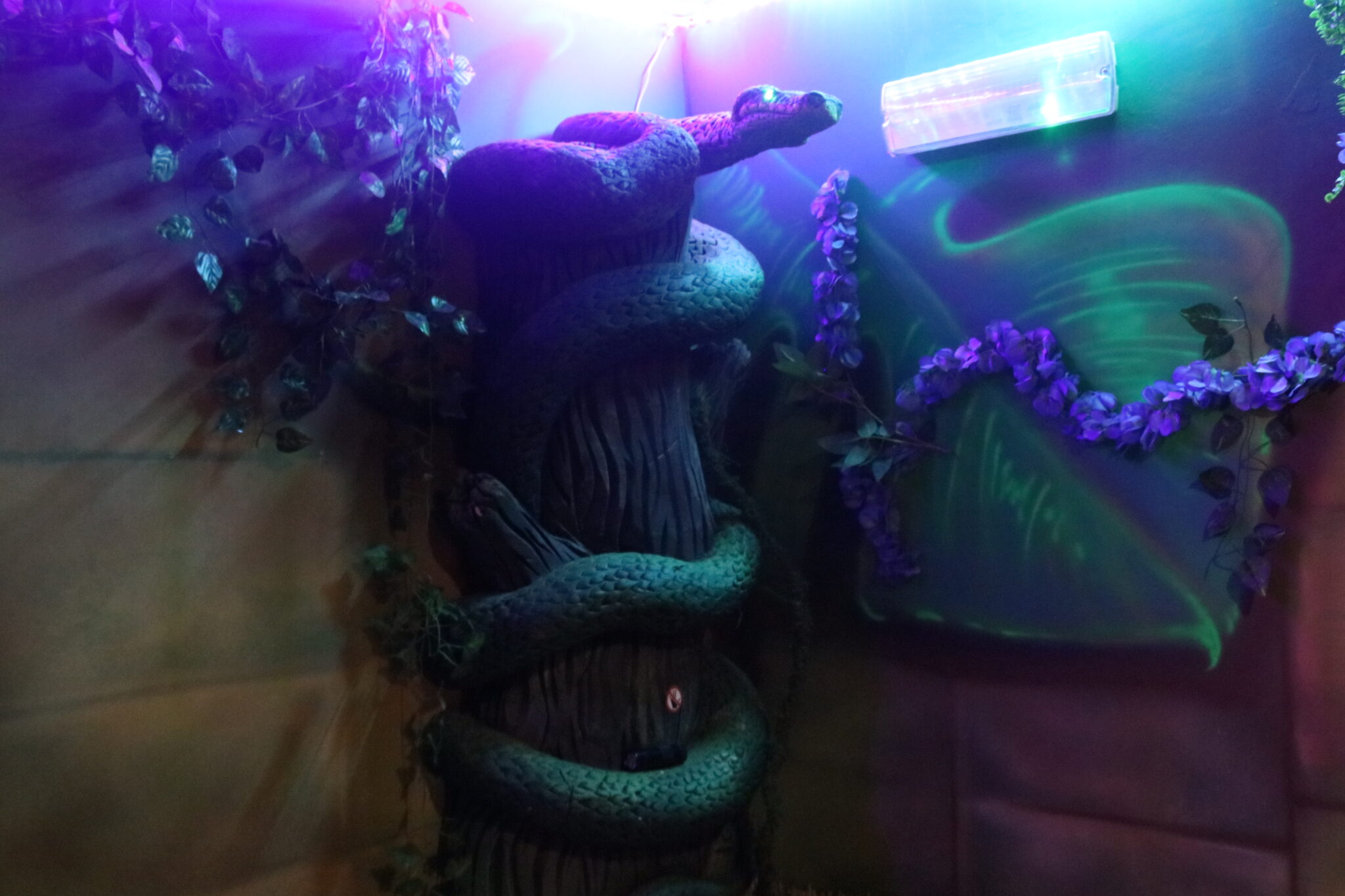 Jumanji - Escape Room